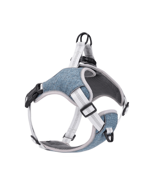 Dog Harnesses - Pets Best
